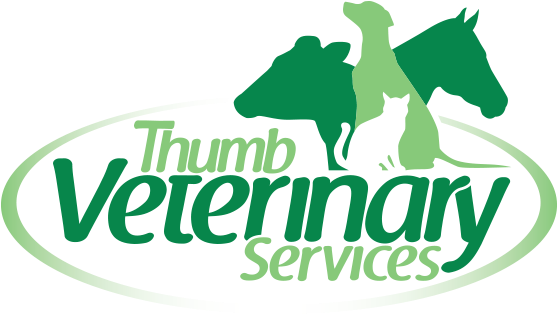 Veterinary Services Logo - (576x335) Png Clipart Download