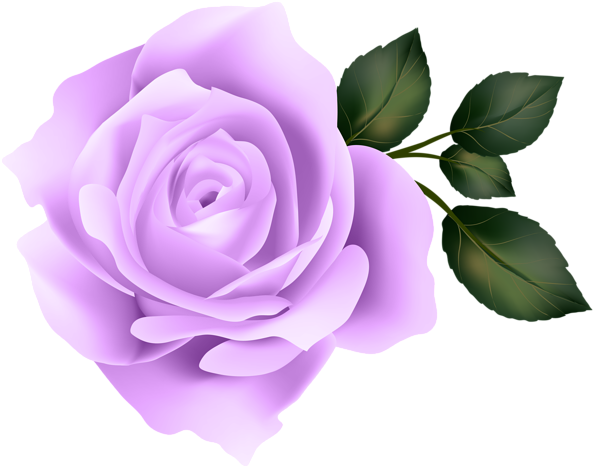 Purple Rose Clip Art Image-634361796 - Purple Roses Transparent Png ...