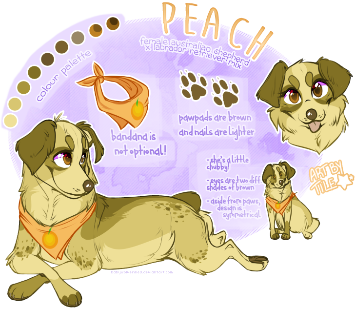 Anime Animals - Deviantart - (728x633) Png Clipart Download