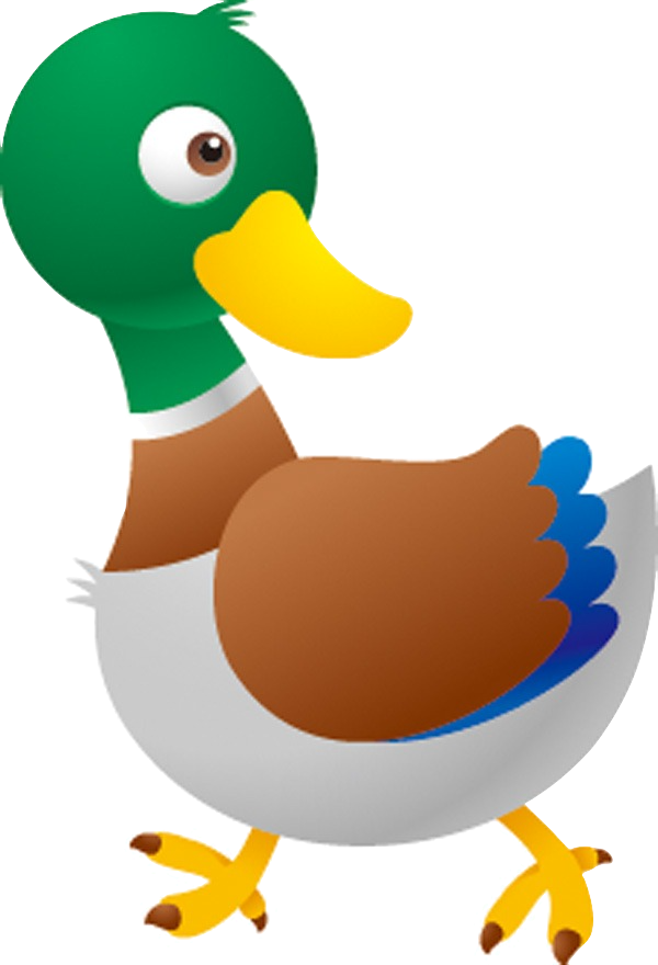 Cartoon Picture Of Duck - Full Size PNG Clipart Images Download