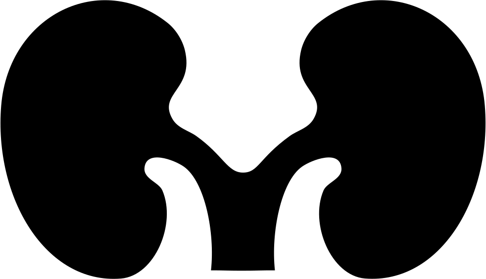 Font Kidney Comments - Font Kidney Comments - (982x564) Png Clipart ...