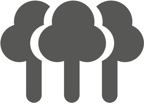 Trees Icon - Icono De Arboles En Png - (512x512) Png Clipart Download