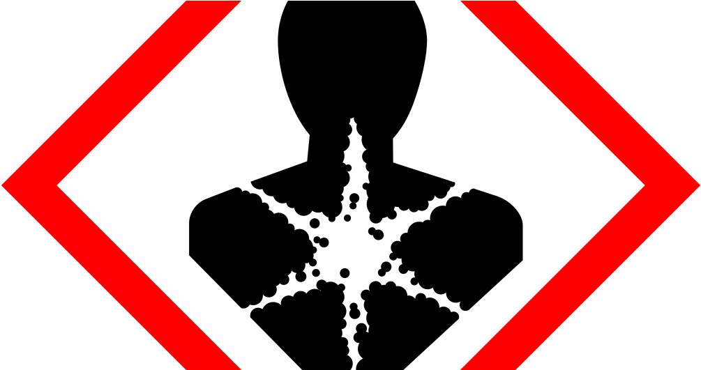 Over - Chronic Health Hazard Symbol - (1024x530) Png Clipart Download