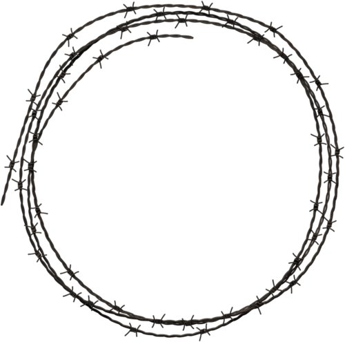 Barbed Wire - Circle - (500x495) Png Clipart Download
