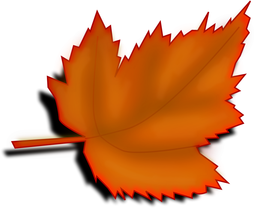 Leaf - Clipart - Tree Leaves Clip Art - Full Size PNG Clipart Images ...