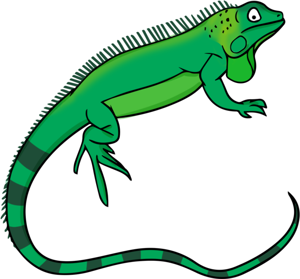 Lizard Clipart Free To Use Public Domain Lizards Clip - Iguana Clip Art ...