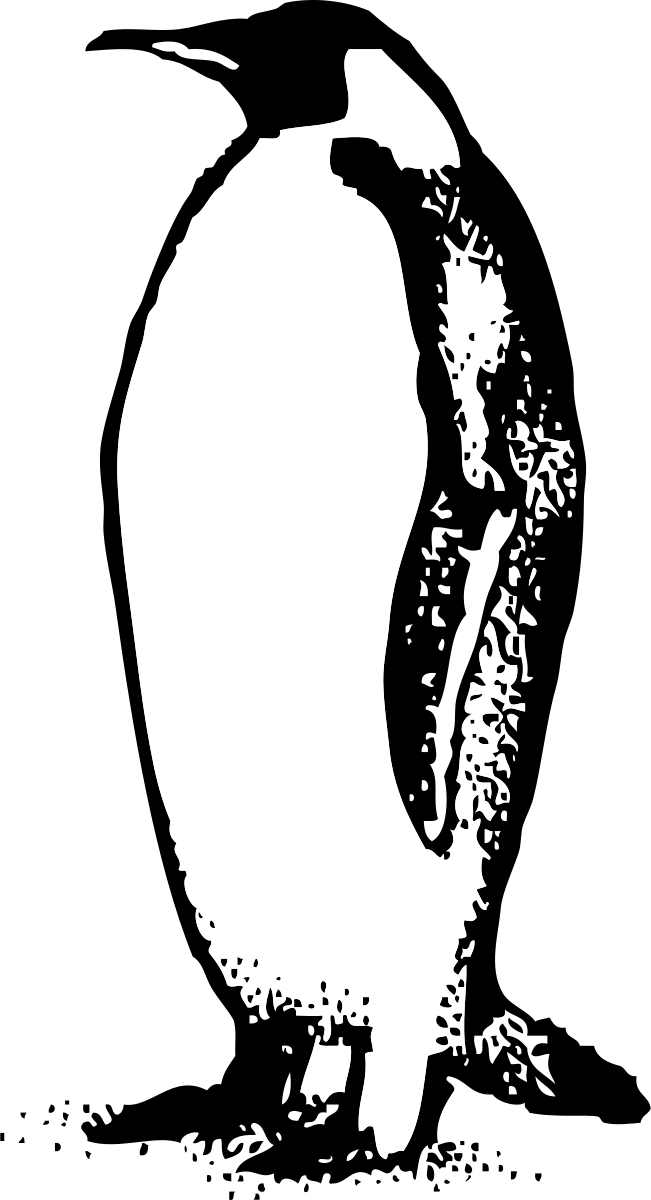 Penguin Black And White Penguin Clip Art Black And - Black And White ...