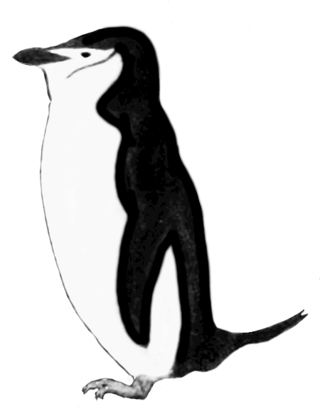 Penguin Clip Art Black And White - Clip Art - (449x591) Png Clipart ...