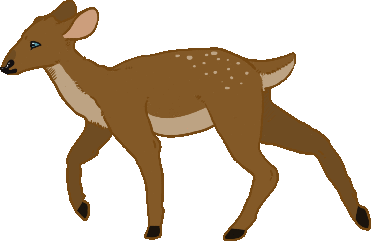 Deer Walk Cycle - Warrior Cat Running Gif - (800x800) Png Clipart Download