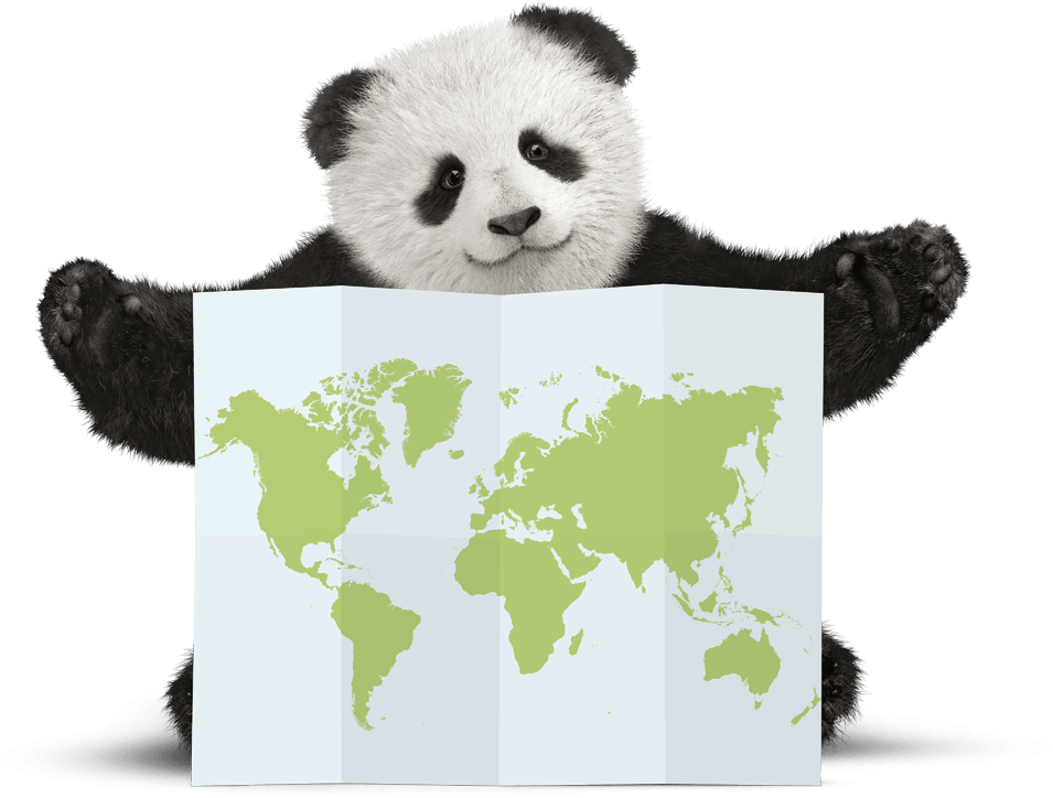 Panda Map With Legs1 - World Map Poster Cool - (955x724) Png Clipart ...