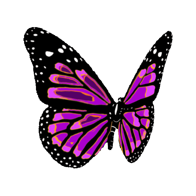Butterfly Animated Gif Transparent