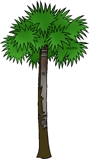 Vector South Carolina Palmetto Tree - South Carolina State Tree ...