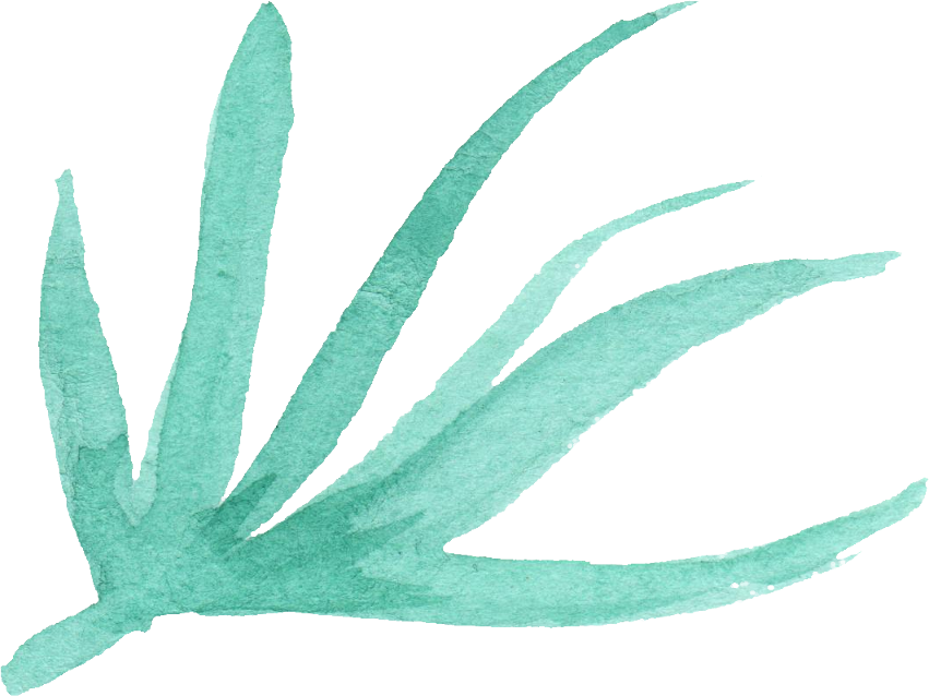 Free Download - Watercolor Leaves Transparent Background - (851x638 ...