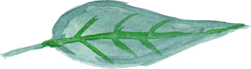 Free Download - Png Transparent Watercolor Leaves Png - (1000x275) Png ...