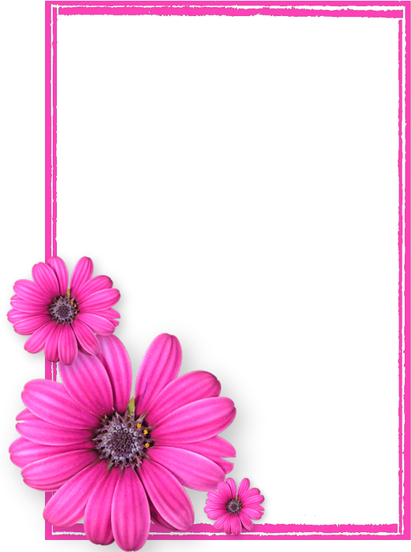 Pink Flower Frame Png Photos8 - Pink Flower Frame Png - (600x790) Png ...