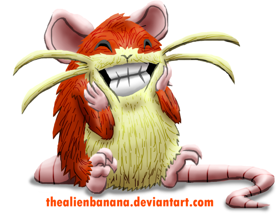 Free Raticate - Cartoon - (1018x785) Png Clipart Download