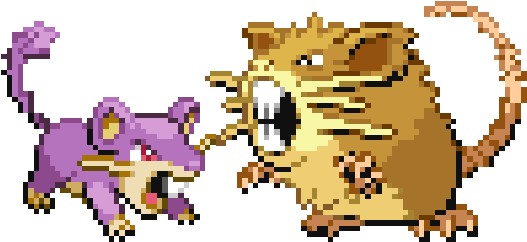 Rattata Raticate Pokemon Pokemon Gif Transparent Transparent - Gif ...