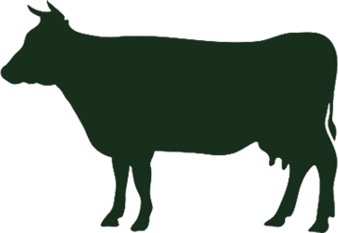 Beef - Beef Vector - (1590x1440) Png Clipart Download