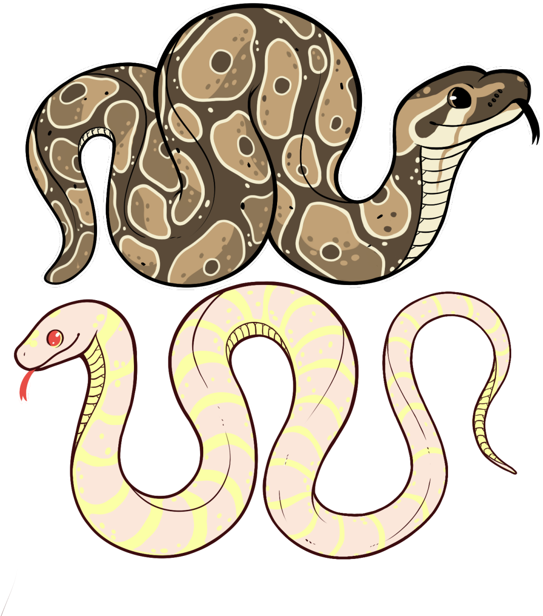 Snakes Are Cute - Snake Tumblr Art - (1280x1280) Png Clipart Download