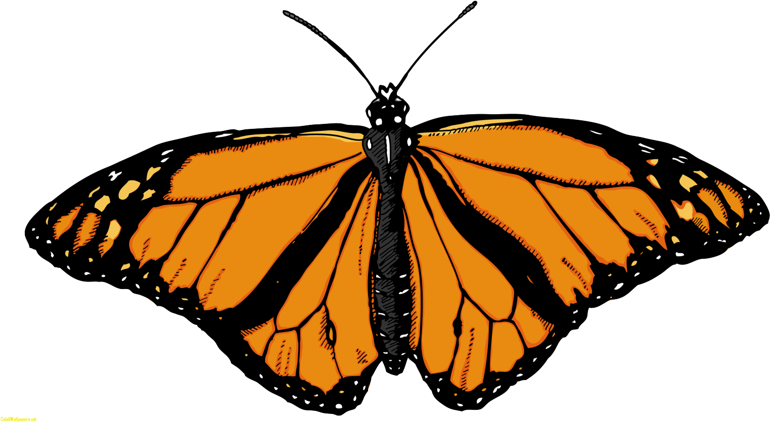 Butterfly Monarch Butterfly Clipart The Cliparts - Butterfly Png ...