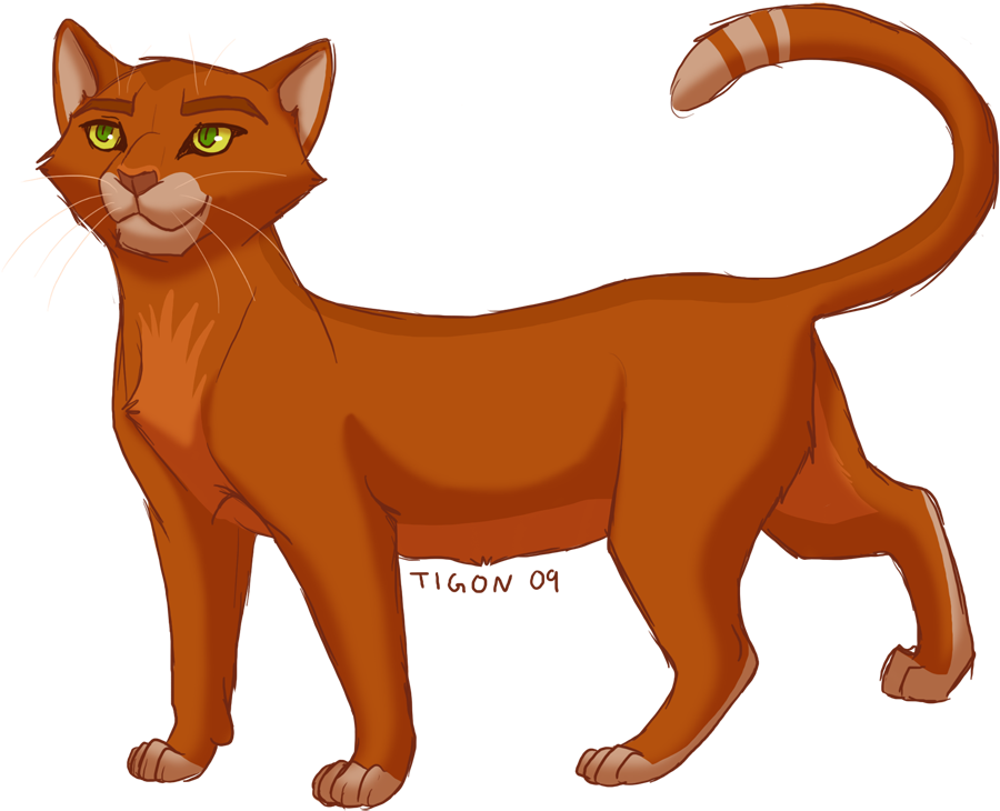 Warriors Other - Fireheart Warrior Cats - (1000x834) Png Clipart Download