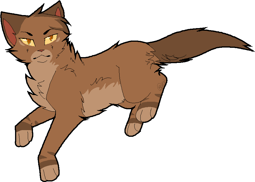 Source - - Warrior Cats One Star - (906x648) Png Clipart Download