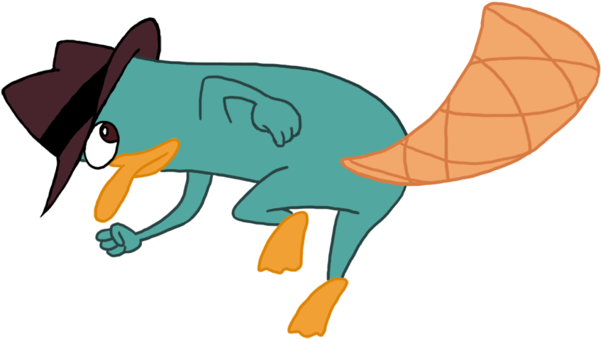 Perry The Platypus As A Human - Perry The Platypus - (900x567) Png ...