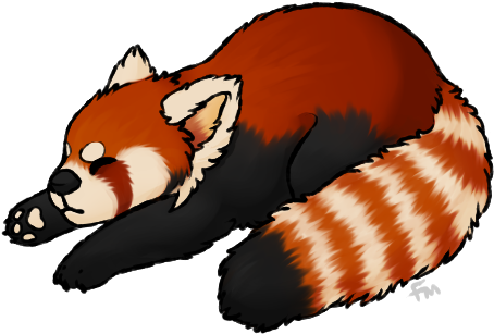 Red Panda Png - Red Panda No Background - (460x328) Png Clipart Download