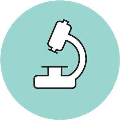 Whatsapp Redesign Icon Illustration By Victor Burgoa - Research ...