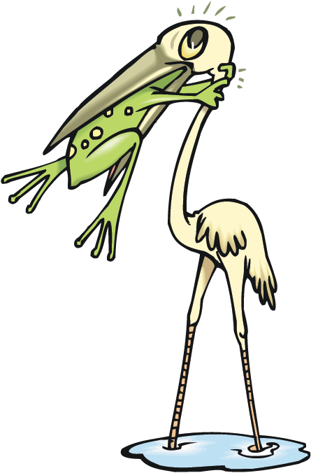 Bird With Frog - Never Give Up Frog - (445x676) Png Clipart Download