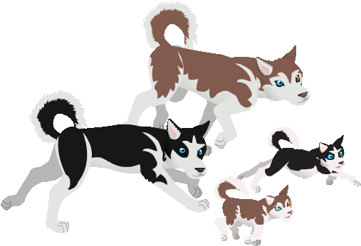 Cartoon - Transparent Husky Gif - (550x400) Png Clipart Download