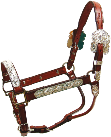 Silver Show Horse Tack - Amazon Cloudfront - (502x600) Png Clipart Download