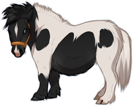 Miniature Horse Cartoon , Piebald - Cartoon Mini Horse Transparent ...