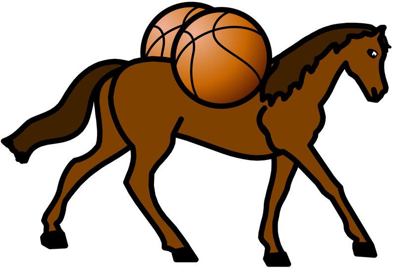 Picture - Picture - (800x800) Png Clipart Download