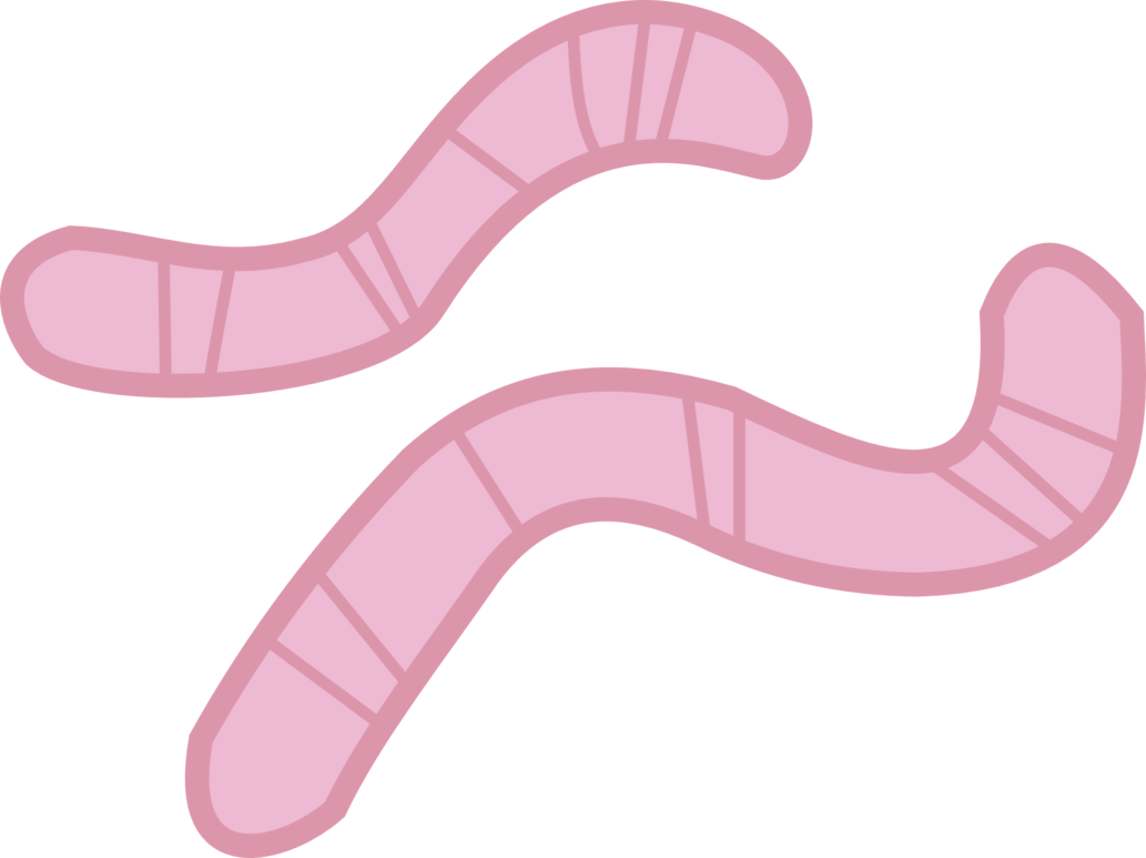 Worms Vector By Didiwork - Digital Art - Full Size PNG Clipart Images ...