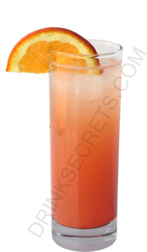 Orange Oasis Cocktail Image - Oasis Cocktail Png - (450x600) Png ...
