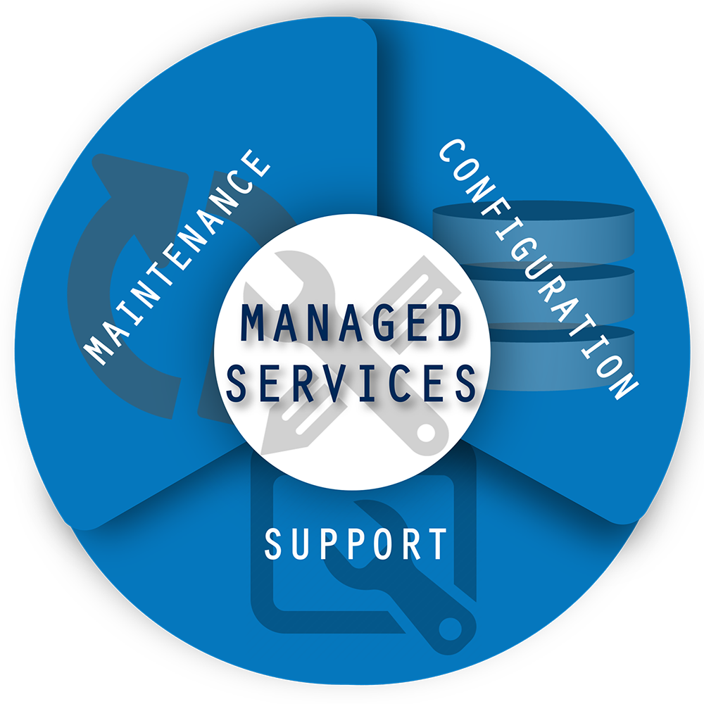 Managed Services Icon Techrev - Cd - (1000x1000) Png Clipart Download