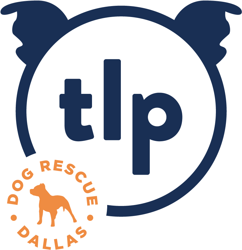 Logo Logo Logo Logo Logo - National Sea Rescue Institute - (1000x1000 ...