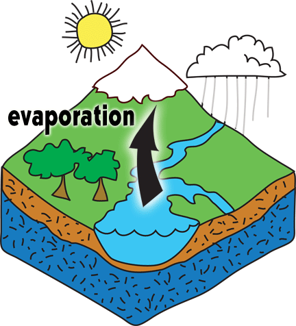 Clipart Water Cycle Run Off Water Clipart - Evaporation In Water Cycle ...