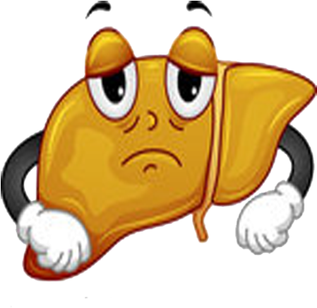 4 - - Fatty Liver Cartoon - (512x512) Png Clipart Download