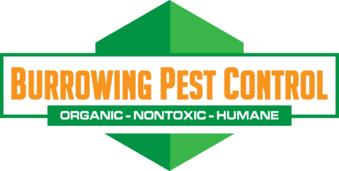 Burrowing Pest Control - Graphic Design - (494x250) Png Clipart Download