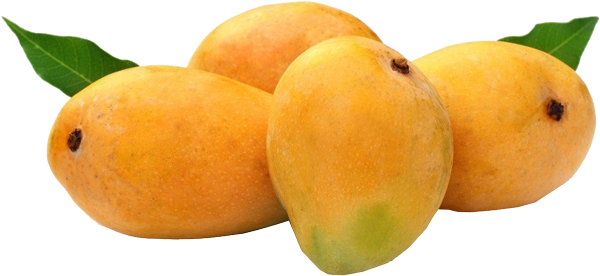 Mango - Hapus Mango - (600x344) Png Clipart Download