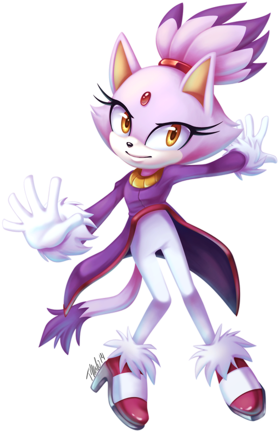 Rouge The Bat Sonic The Hedgehog Amy Rose Blaze The - Blaze The Cat Fan ...