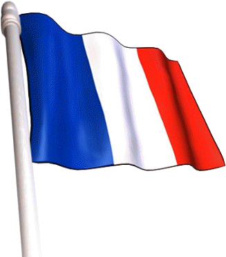 This - Animated France Flag Gif - (348x375) Png Clipart Download