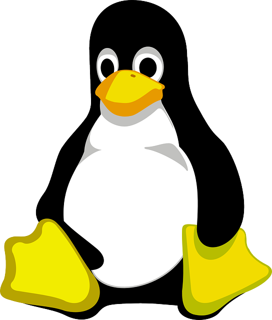 Linux Logo Png - (544x640) Png Clipart Download