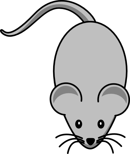 Mouse Clip Art - Mouse Clipart Transparent Background - (504x599) Png ...