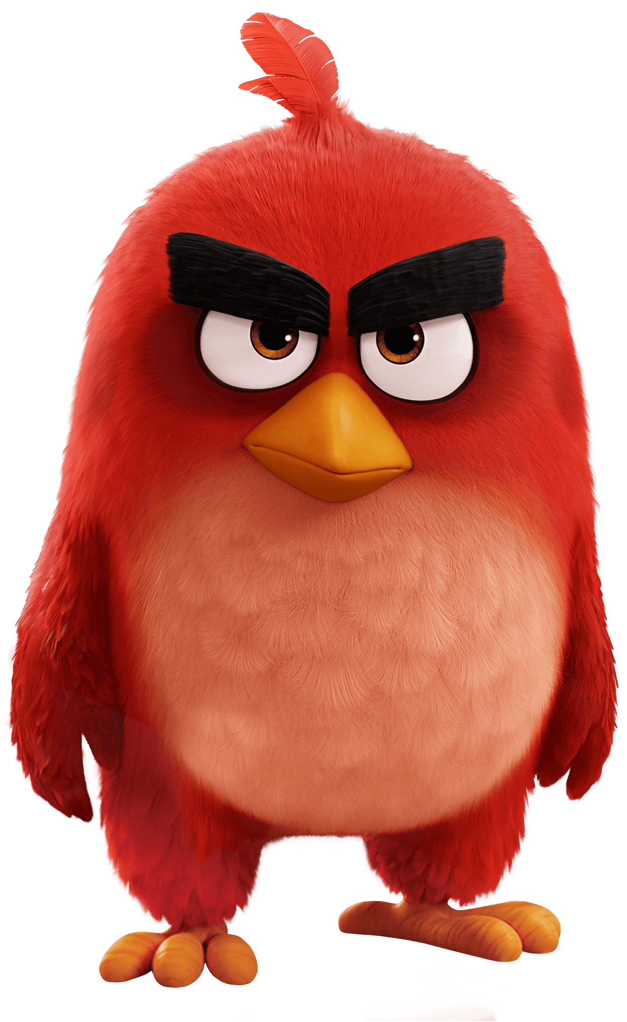 Angry Birds Movie Red Bird - Angry Birds Movie Red - Full Size PNG ...