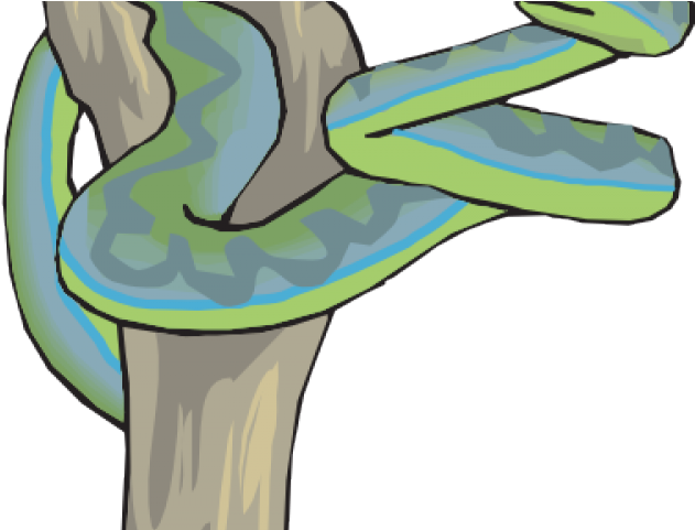 Snake Clipart Tree - Snakes - (640x480) Png Clipart Download
