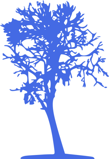 Tree - (512x512) Png Clipart Download