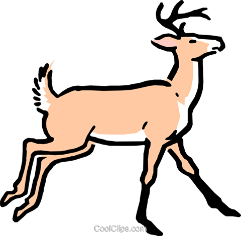 Buck Clipart Caribou - Cartoon Deer - (480x470) Png Clipart Download